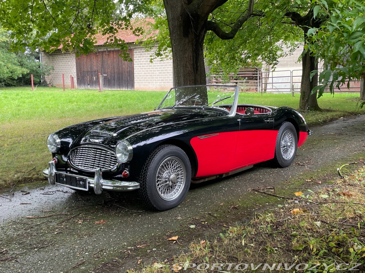 Austin-Healey 3000 Mk II 1962